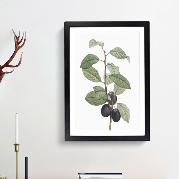 East Urban Home Prune Tree by Pierre-Joseph Redoute - Picture Frame ...