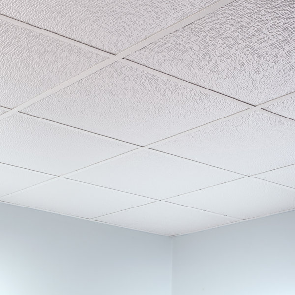Fasade Border Fill 24'' L x 24'' W PVC Drop-In Ceiling Tile | Wayfair