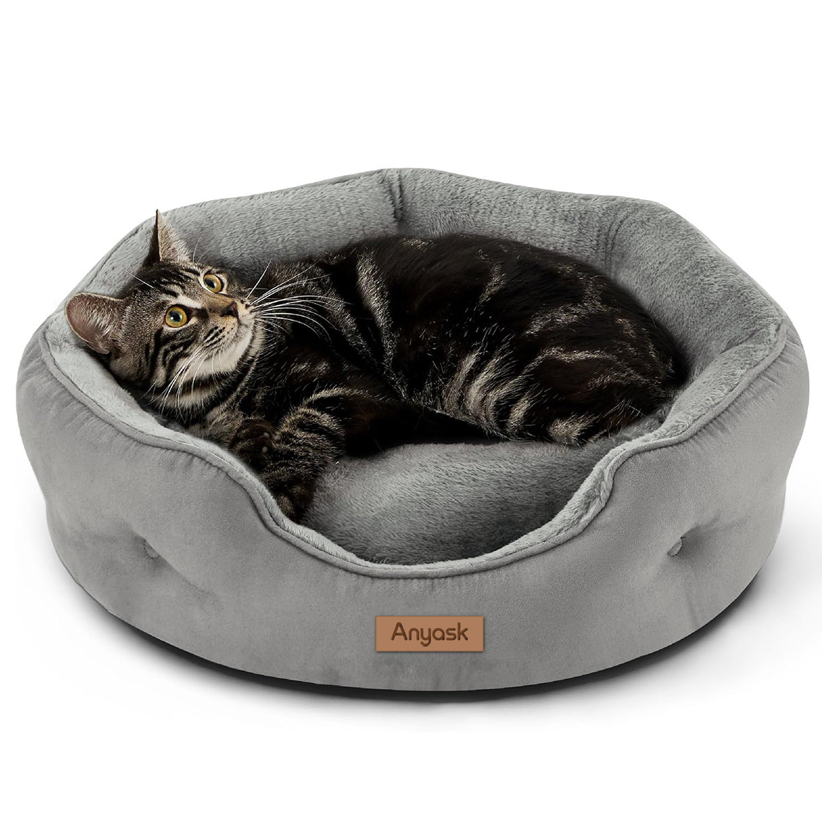 Ebern Designs Kael Waterproof Dog & Cat Bed With Removable Washable ...