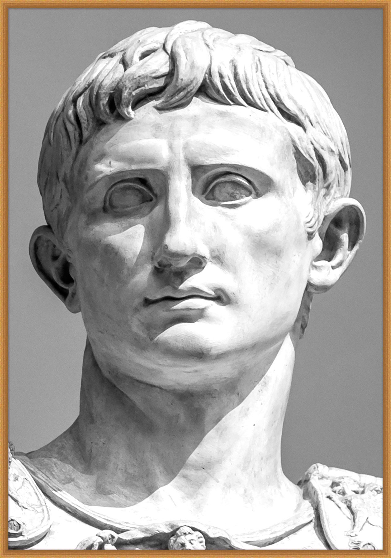 Lillian August Caesar' Framed Graphic Art Print on Canvas | Perigold