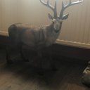 Design Toscano Big Rack Buck Deer Statue & Reviews | Wayfair.co.uk