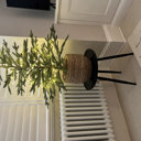 Mercury Row Derik Solid Wood Side Table & Reviews | Wayfair.co.uk