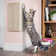 Tucker Murphy Pet™ Calisha Scratching Post & Reviews | Wayfair