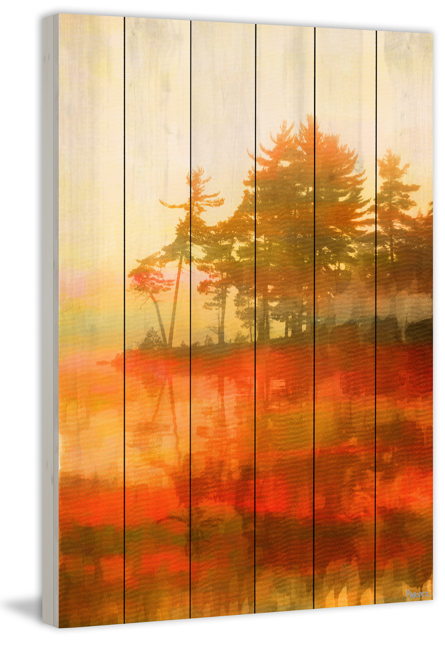 Parvez Taj 'Kamloops' by Parvez Taj Painting Print on White Wood ...