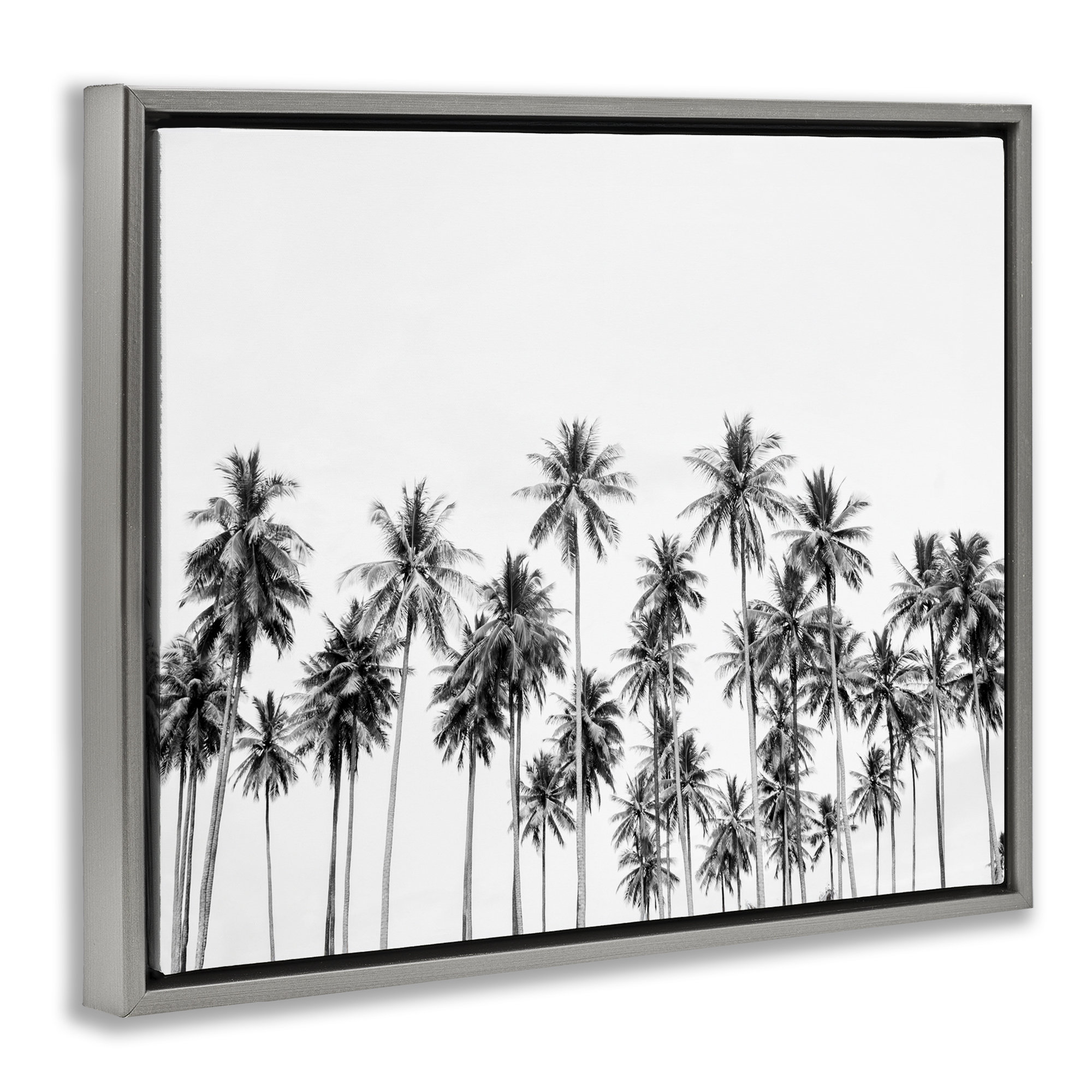 Orren Ellis Palm Trees Paradise in Monochrome Floating Frame, design by ...