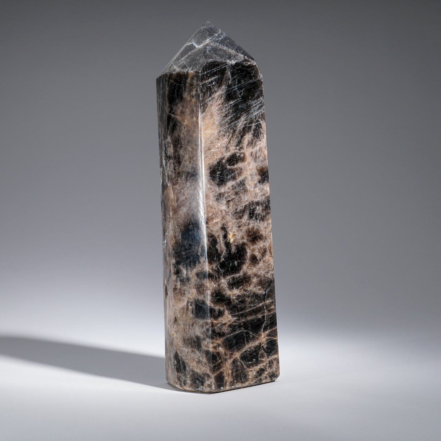 Astro Gallery of Gems Genuine Polished Black Moonstone Point (2.5 Lbs ...