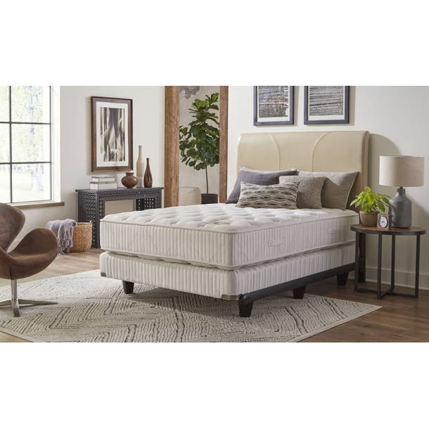 David Michael Bed | Perigold