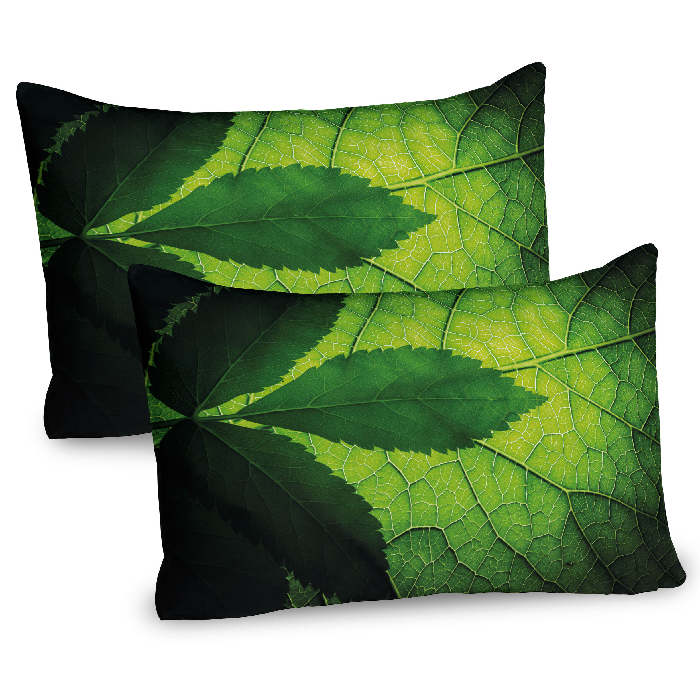 Ambesonne Green Pillow Sham 2 Pack Brazilian Tree Leaf Eco Olive and ...