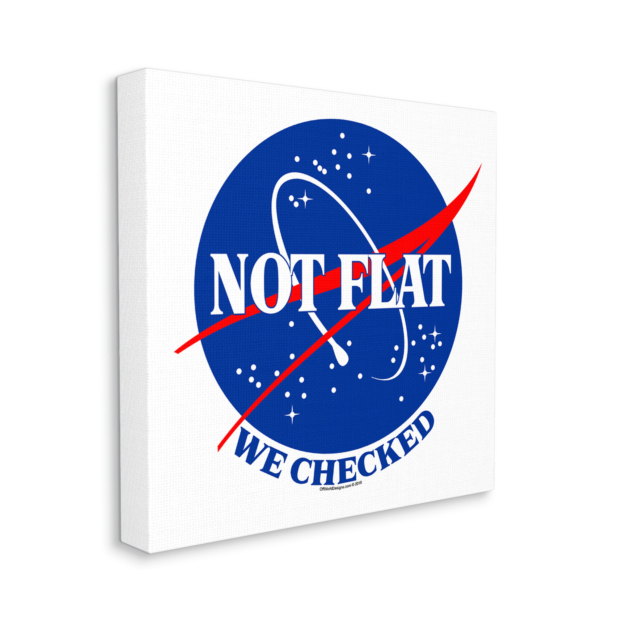 Trinx Not Flat Earth Phrase On Canvas by Off World Designs Print | Wayfair