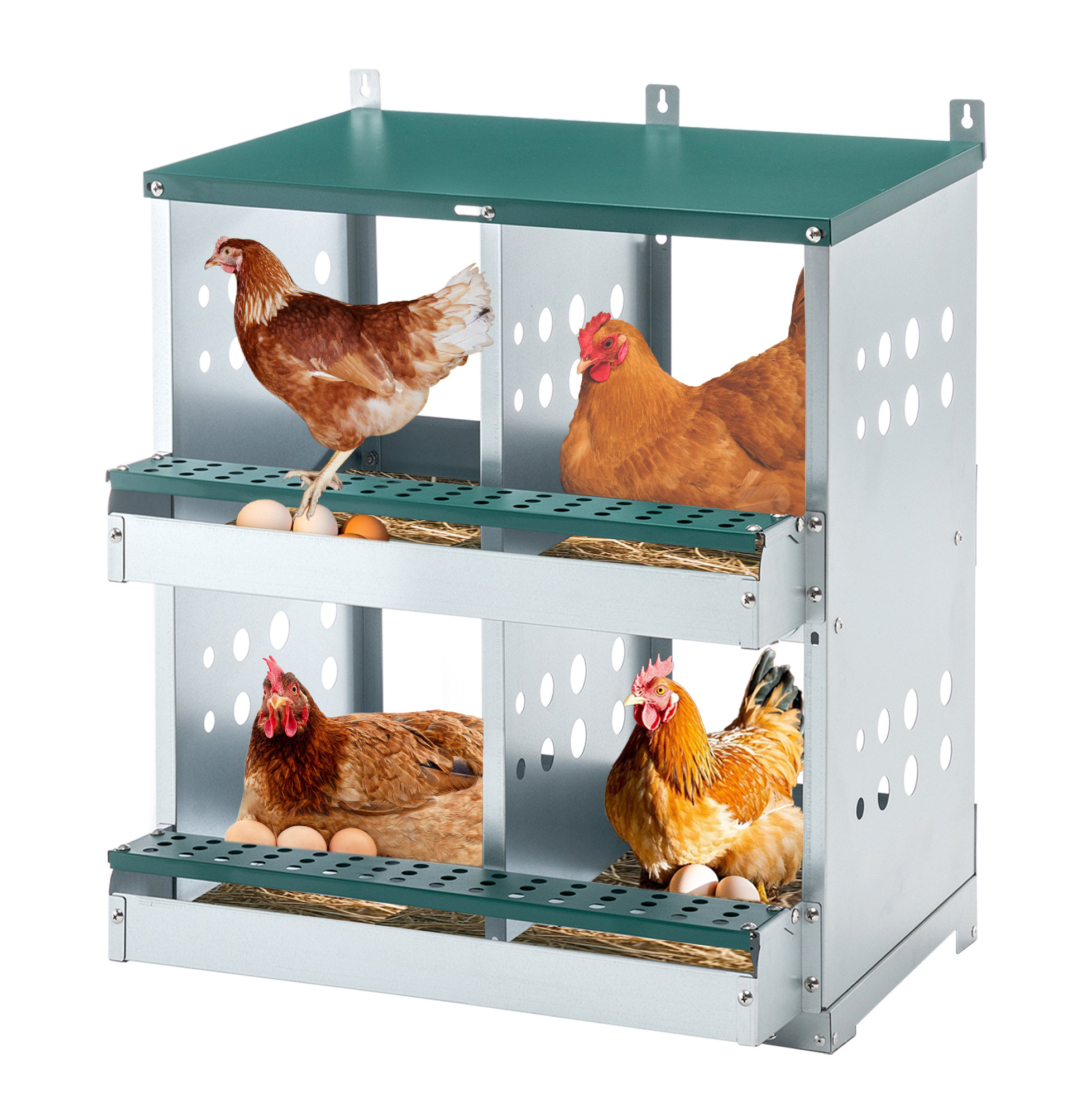 Ebern Designs 4 Compartment Chicken Nesting Boxes, Metal Nesting Boxes ...
