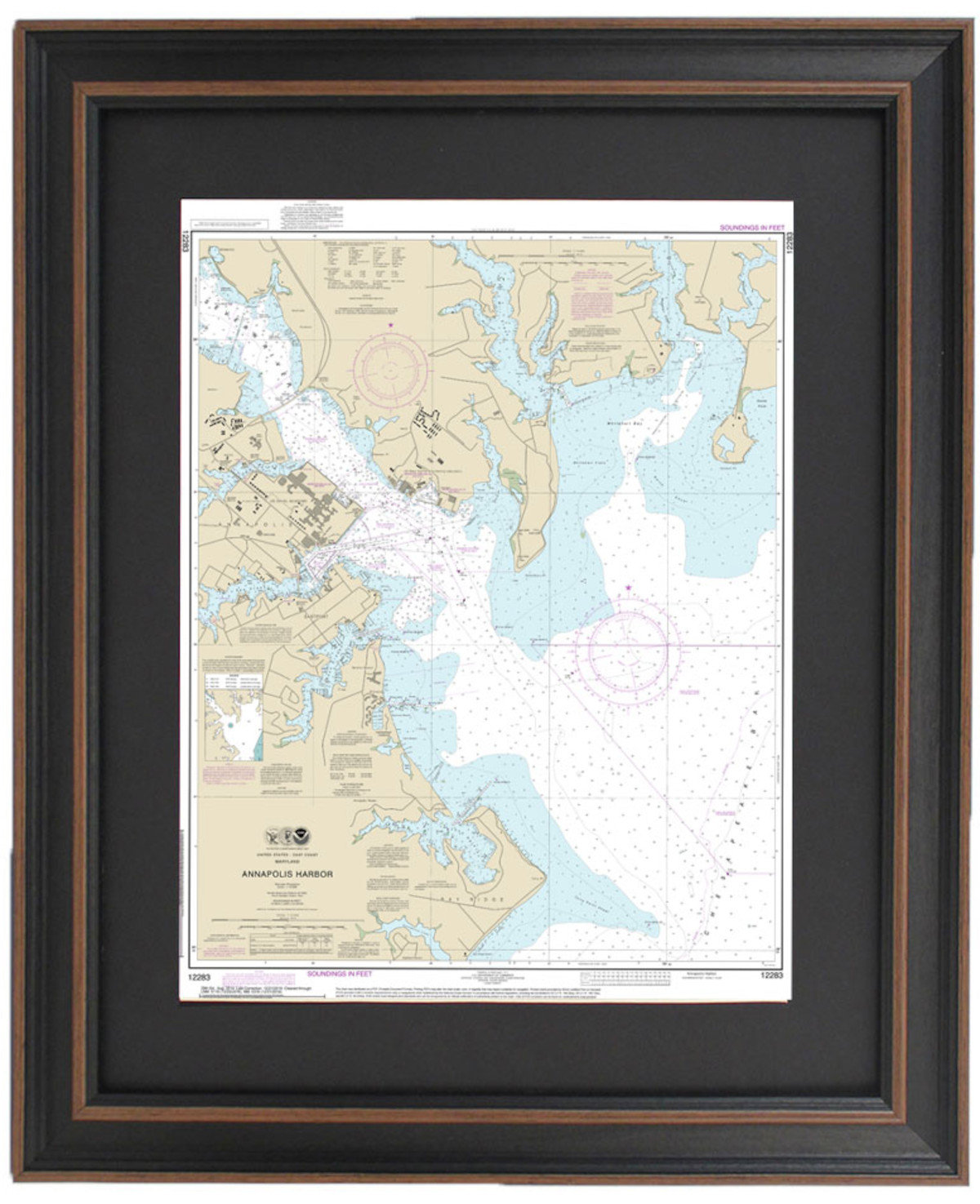 17 Stories Annapolis Harbor | Nautical Chart | Framed Print | Wayfair