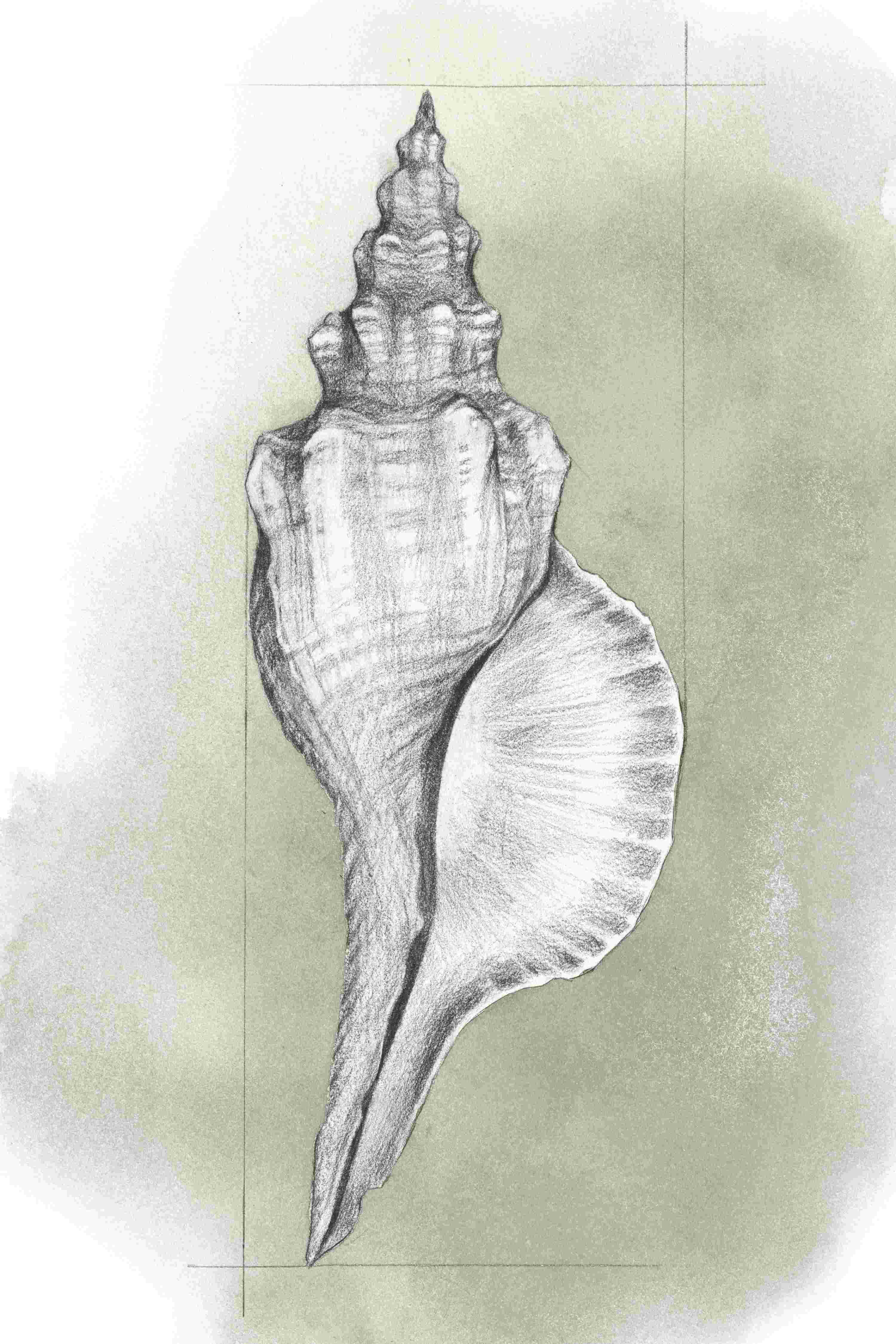 Rosecliff Heights Shell Diagram I | Wayfair