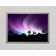 Bright Star Northern Light Treeline - Single Picture Frame Art Prints ...