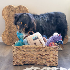 Park Life Designs Bone Shape Pet Basket & Reviews | Wayfair
