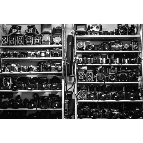 Cameras Photo | Wayfair.co.uk