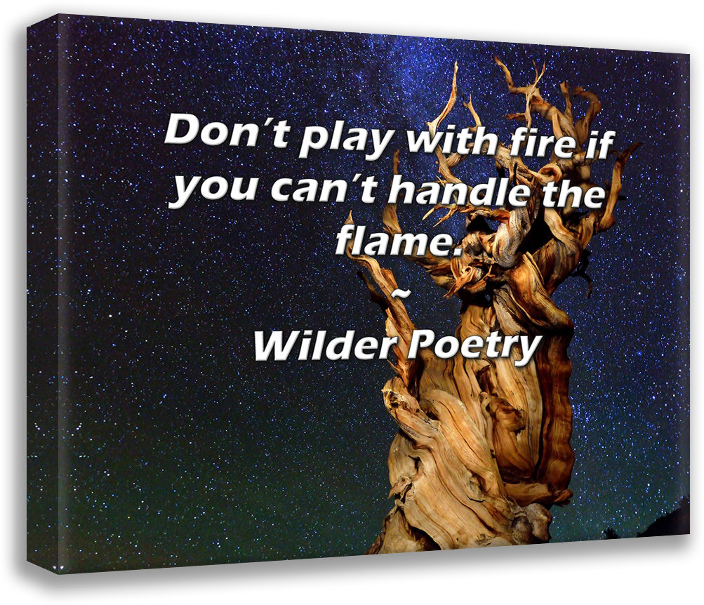 Union Rustic Gallery Wrapped Canvas By Wilder Poetry: "Don’t play with ...