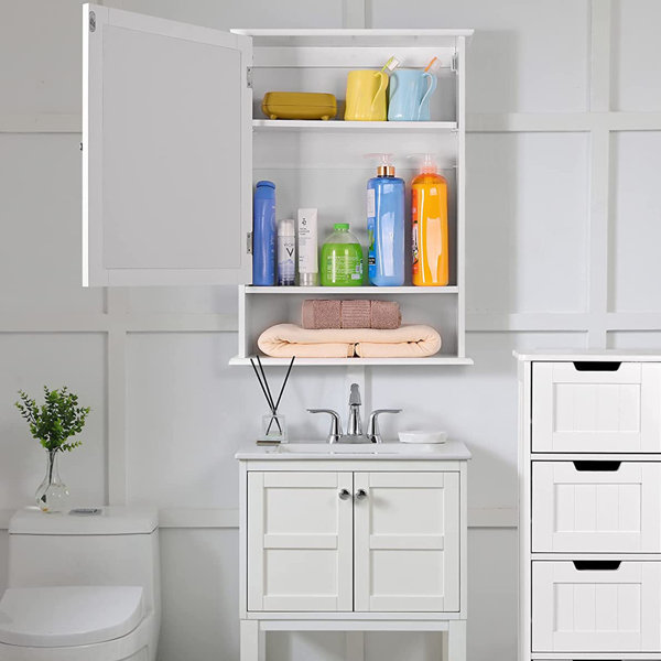 Latitude Run Lenist 48mm W 65mm H Surface Mount Frameless Medicine ...