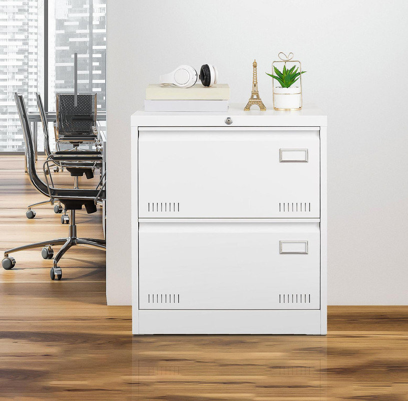 Latitude Run® Filing Cabinet Lateral File Cabinet 2 Drawer, White ...