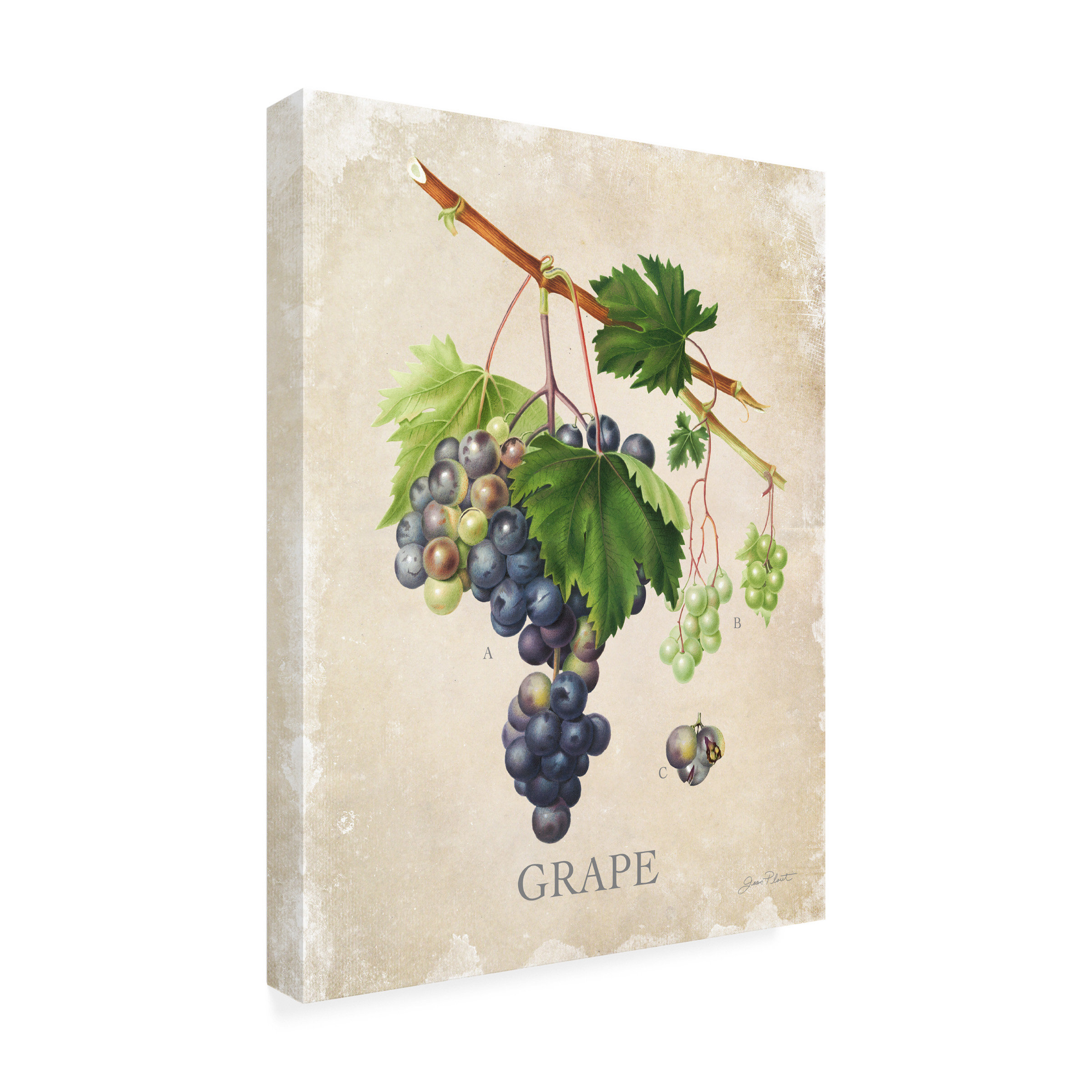 August Grove® Jean Plout Luscious Fruit Study C Canvas Art | Wayfair