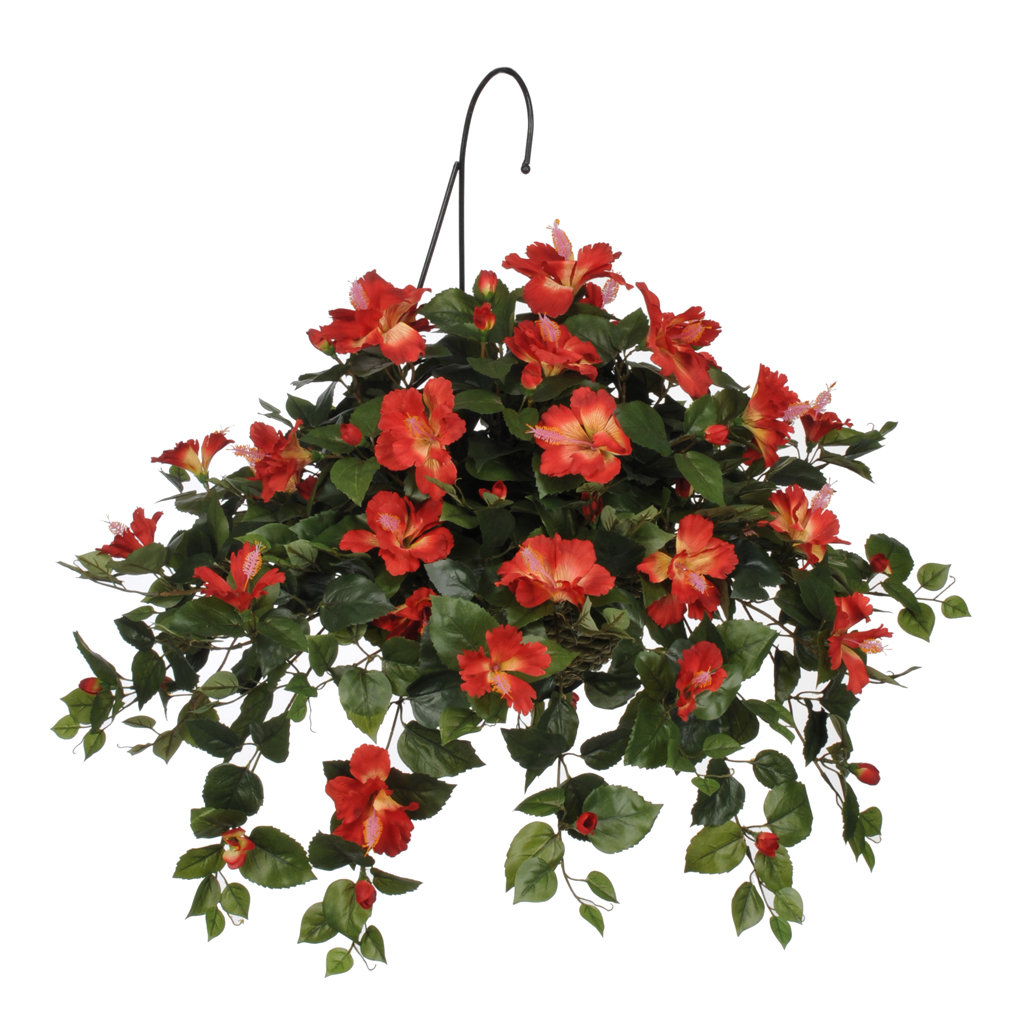 House of Hampton Faux Hibiscus Trailing Hanging Flowering Plant in ...