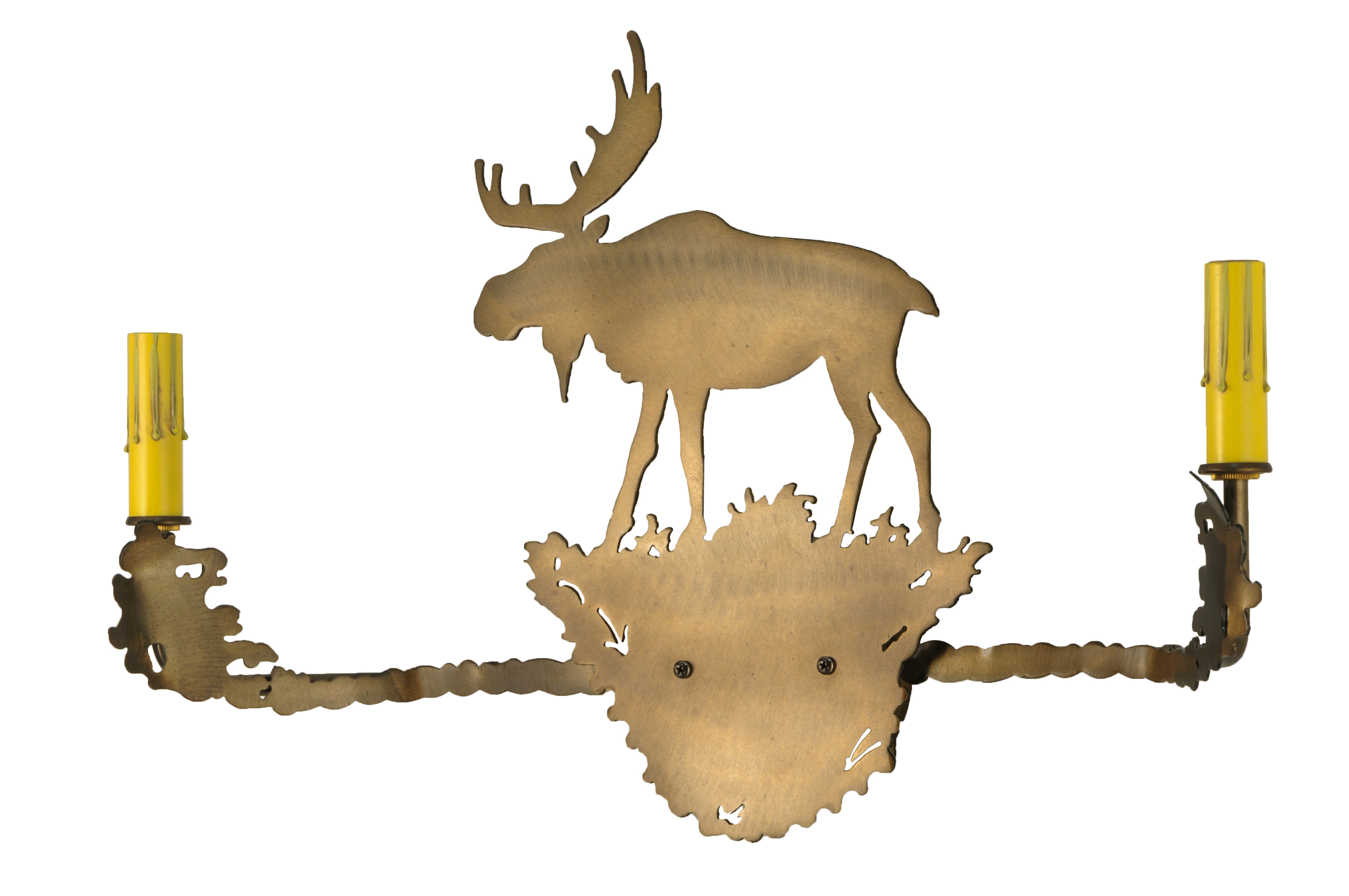 Meyda Lighting Moose 2-Light Vanity Light | Wayfair
