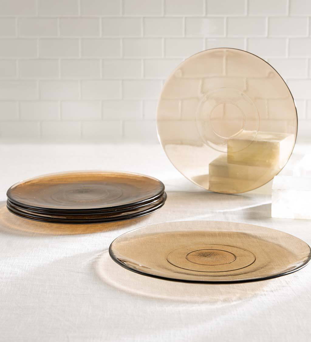 VivaTerra Recycled Glass Dinner Plates & Reviews | Wayfair