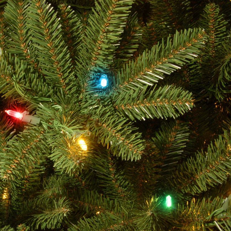 The Holiday Aisle® Natural Fraser Slim Fir Tree with Multicolor Lights ...