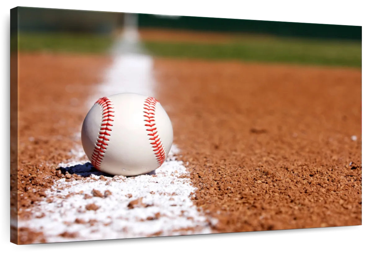 Ebern Designs Sireci Baseball Foul Line - Wayfair Canada