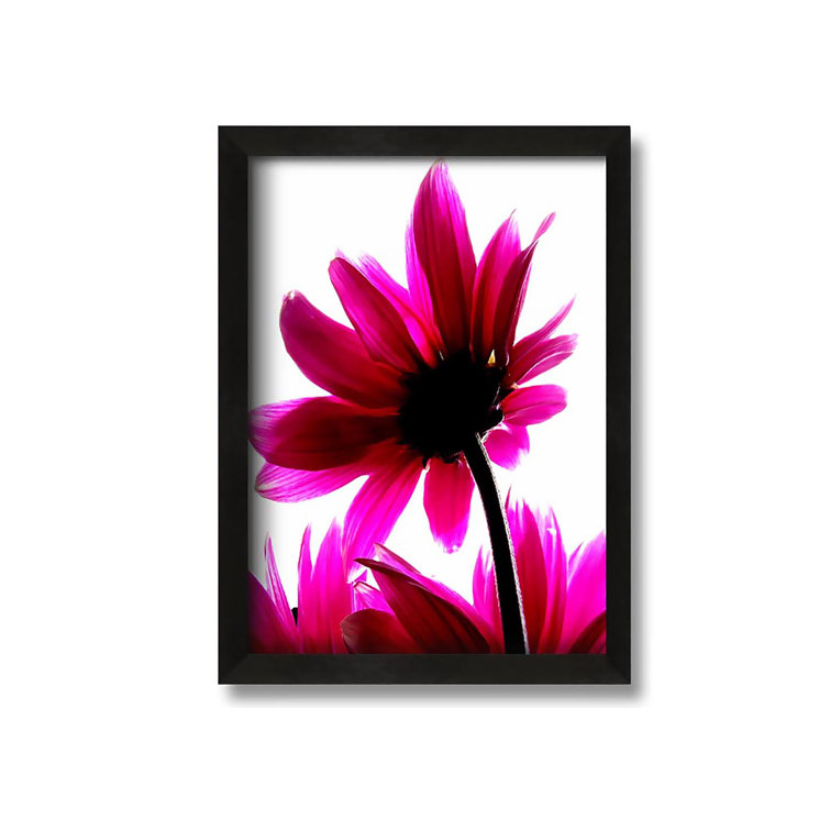 Brayden Studio Delicate Pink - Single Picture Frame Painting on Canvas ...