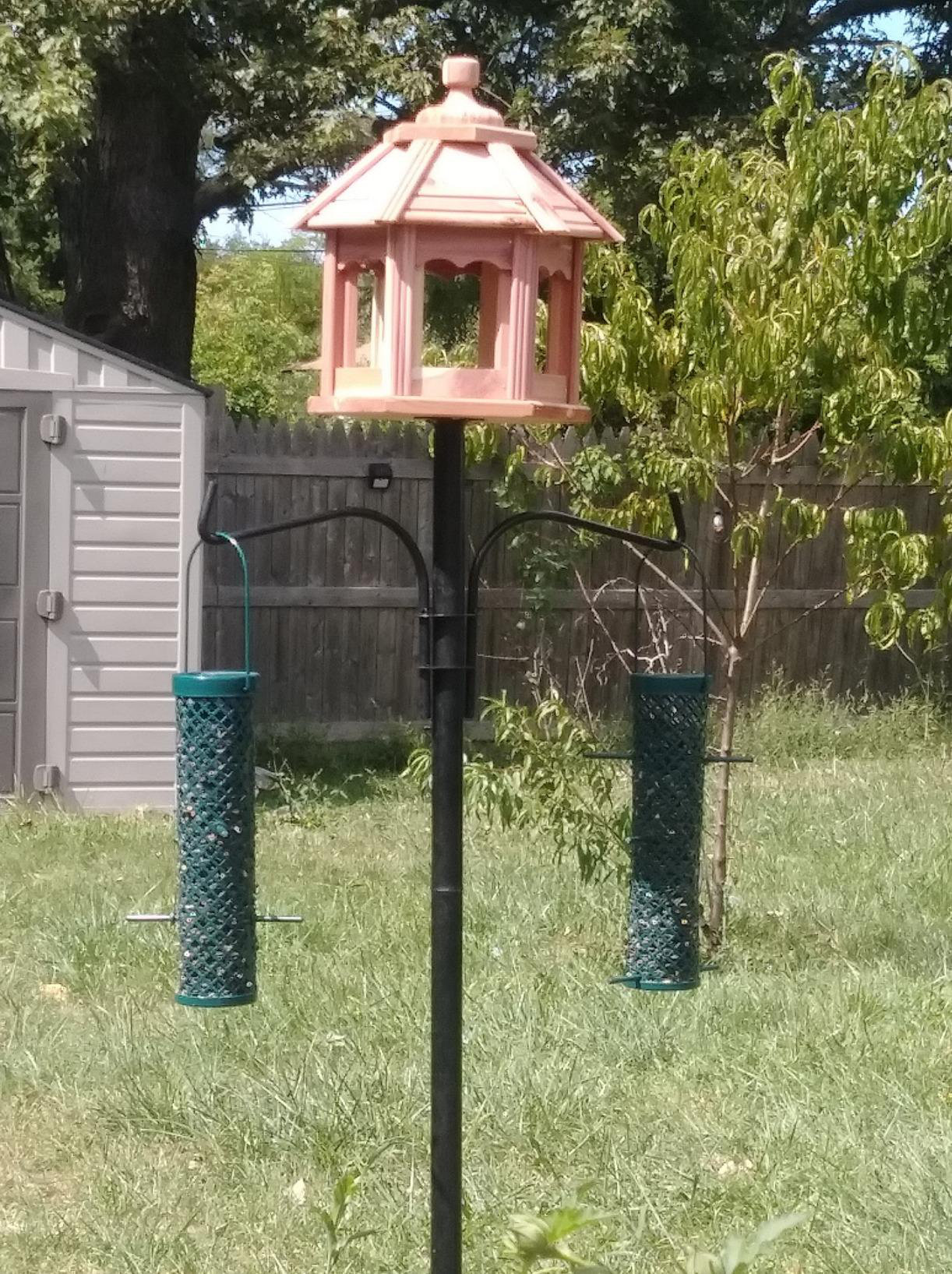 Latitude Run® Feeder Pole Plus Bird Feeder Pole Black 5 Ft - Wayfair Canada