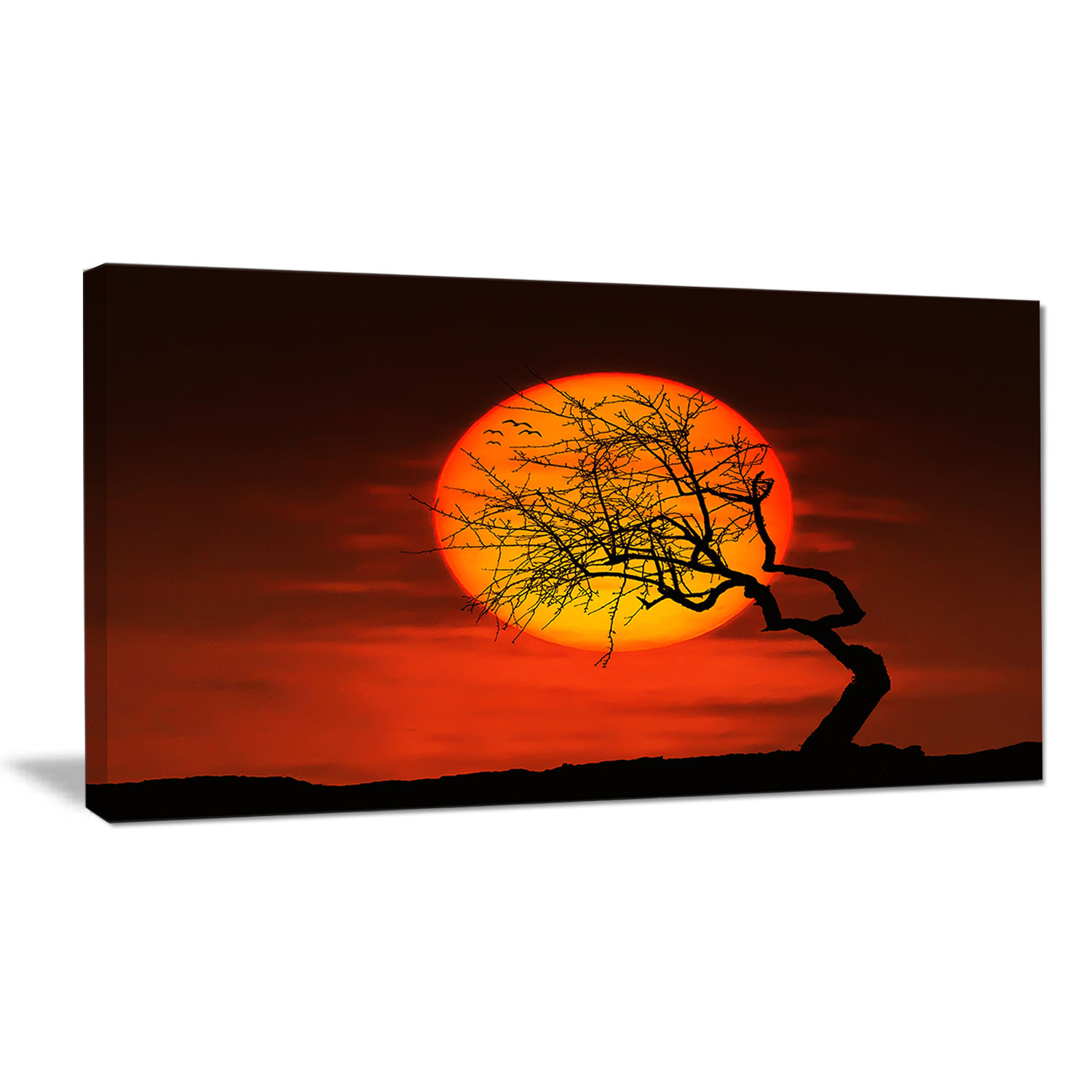 East Urban Home 'Birds and Tree Silhouette at Sunset' - Floater Frame ...