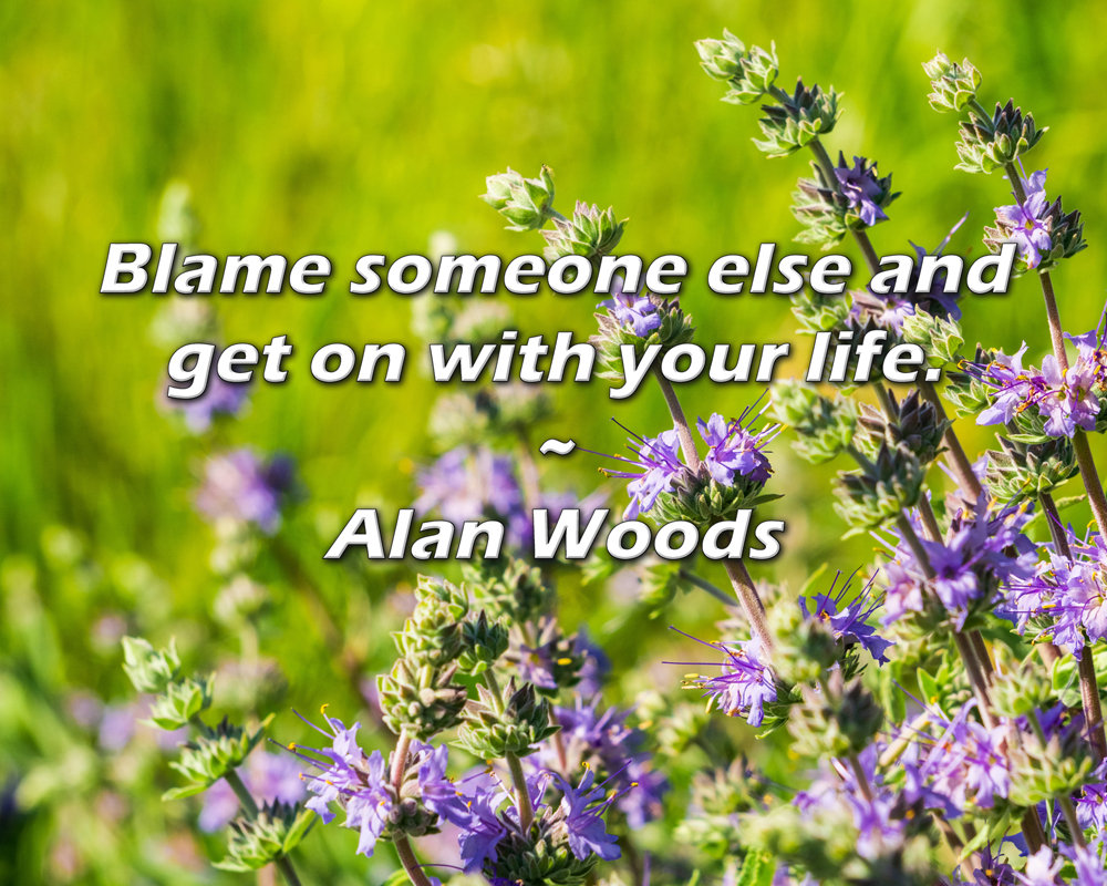 Trinx Alan Woods Quote: Blame someone else and get on with your life ...