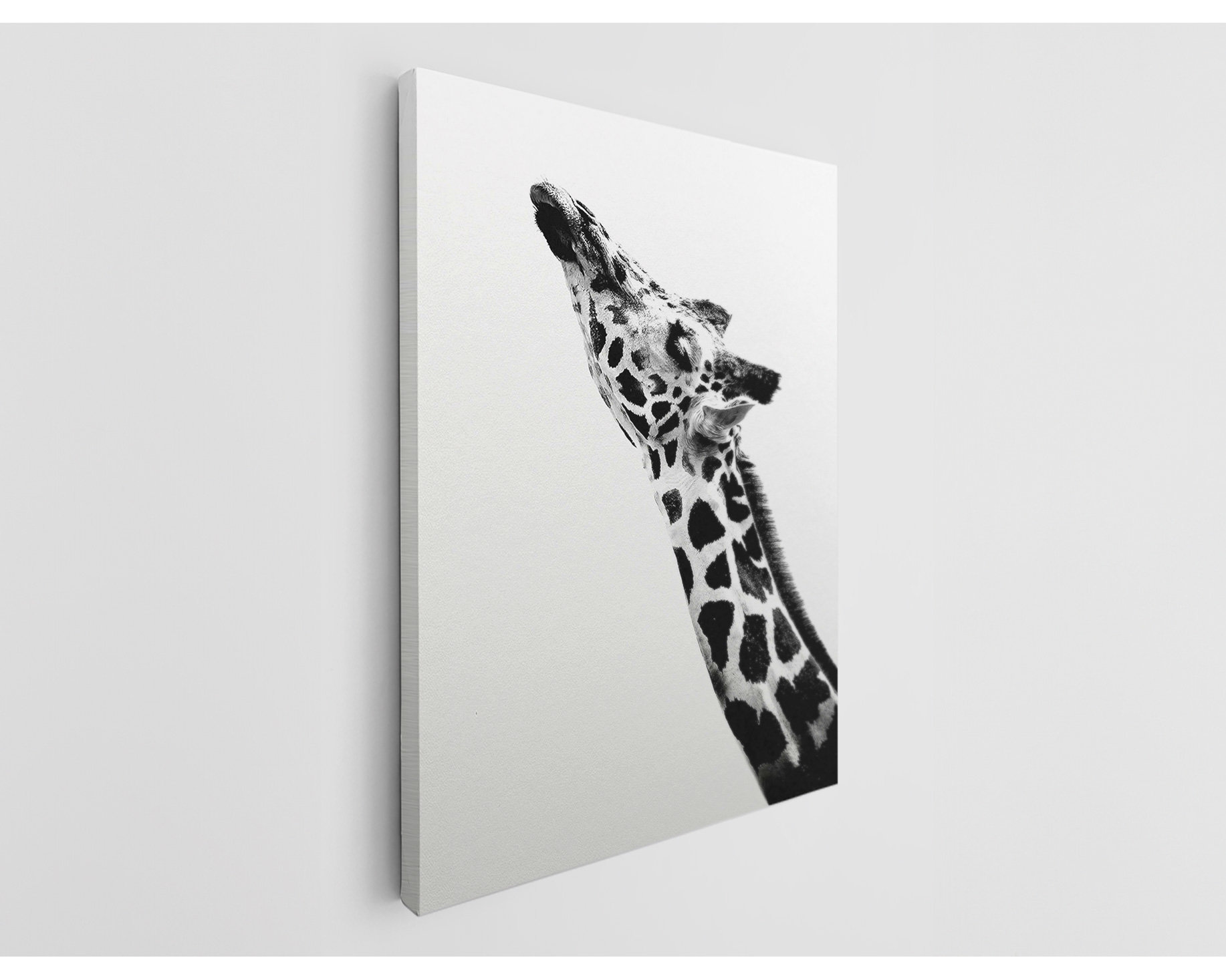 Ebern Designs Natural Black and White Giraffe Canvas Print | Wayfair
