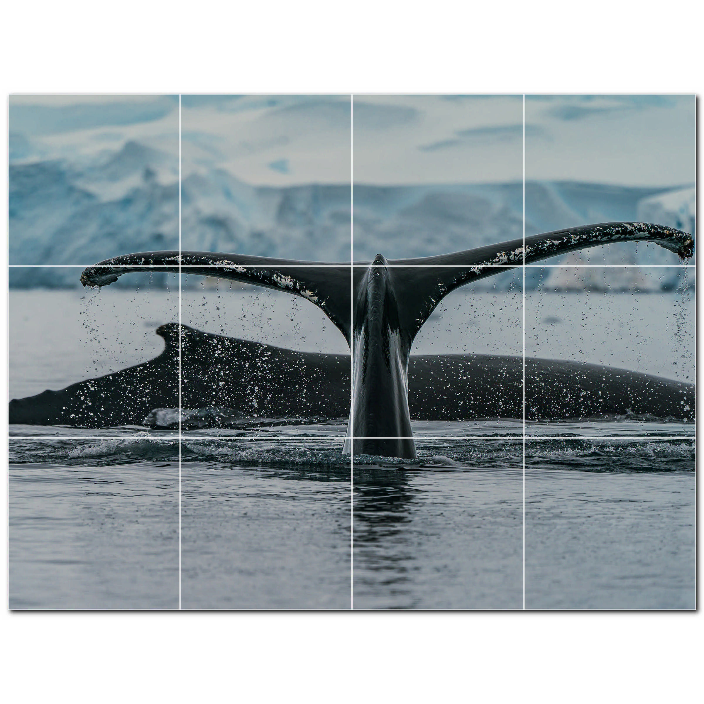 Picture-Tiles.com Whale Photo 8'' x 8'' Satin Ceramic Decorative Mural ...