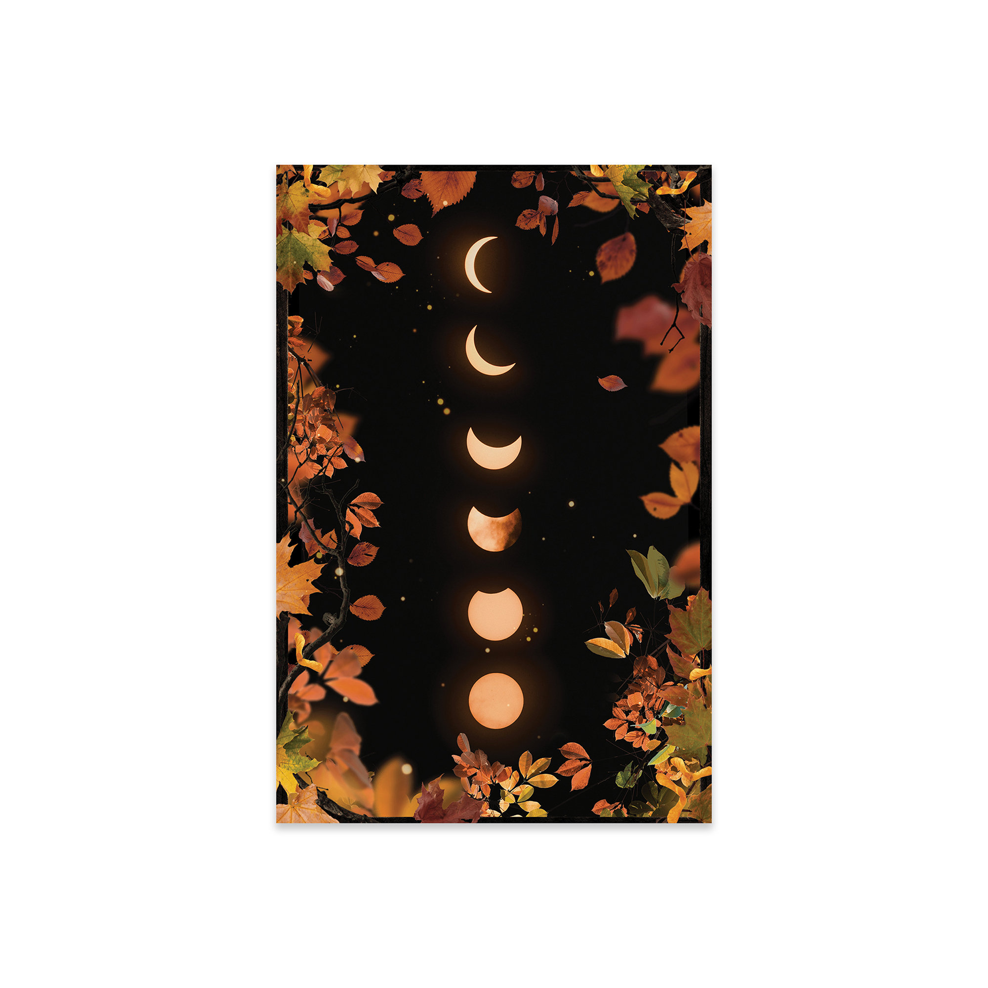 Winston Porter Autumnal Moon Phases by Emanuela Carratoni | Wayfair