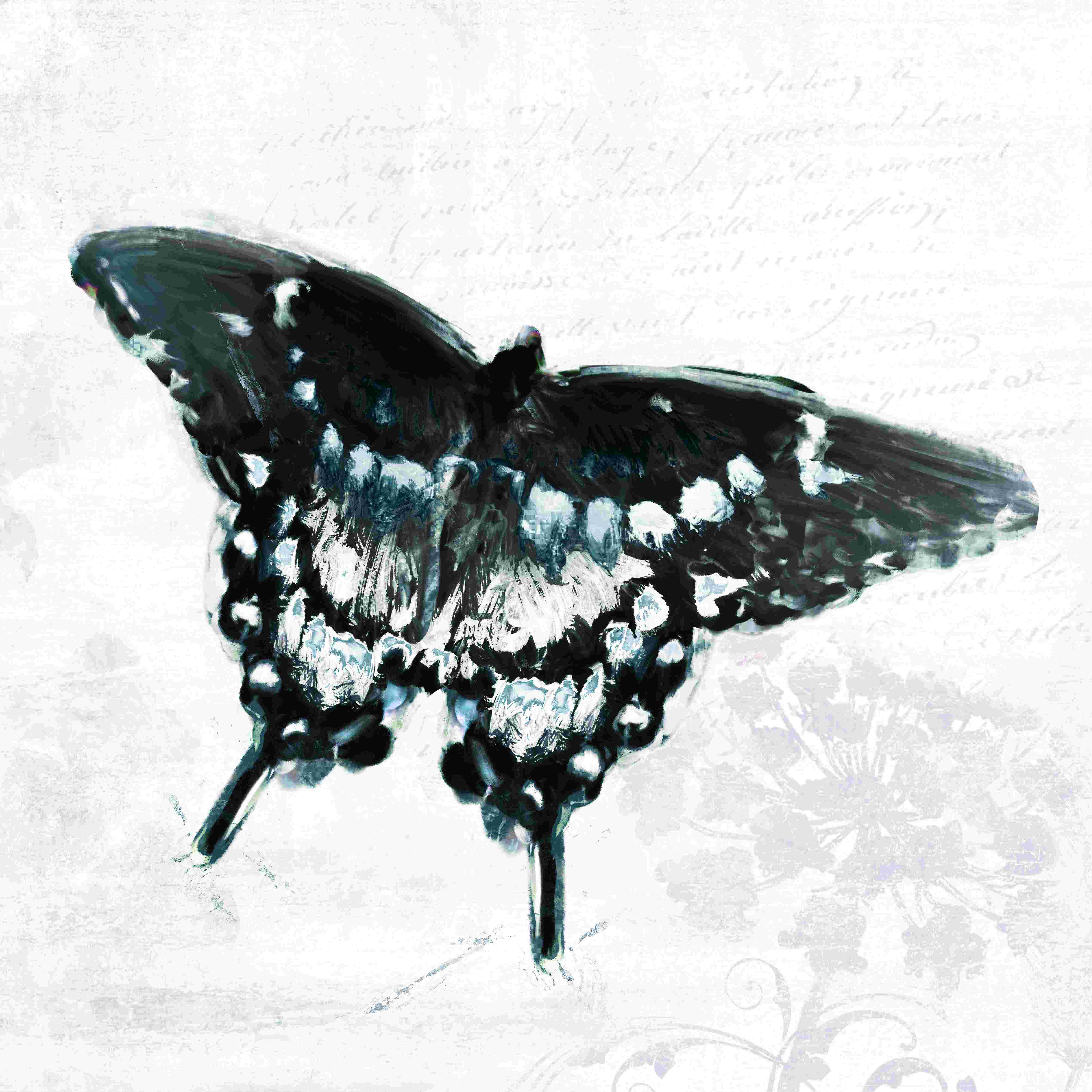 Gracie Oaks Painted Butterly Wrapped Canvas Painting | Wayfair
