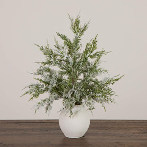 The Holiday Aisle® 18In. Pre-Lit Artificial Mini Snowed Cypress ...