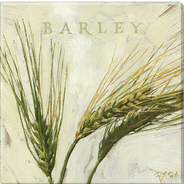 Darren Gygi Home Collection Barley Giclee Wall Art On Canvas by Darren ...