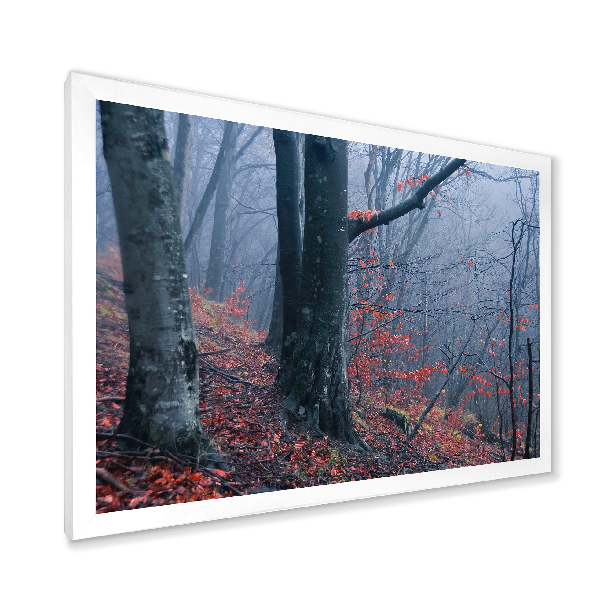 Millwood Pines Autumn Rainy Foggy Forest - Picture Frame Photograph on ...