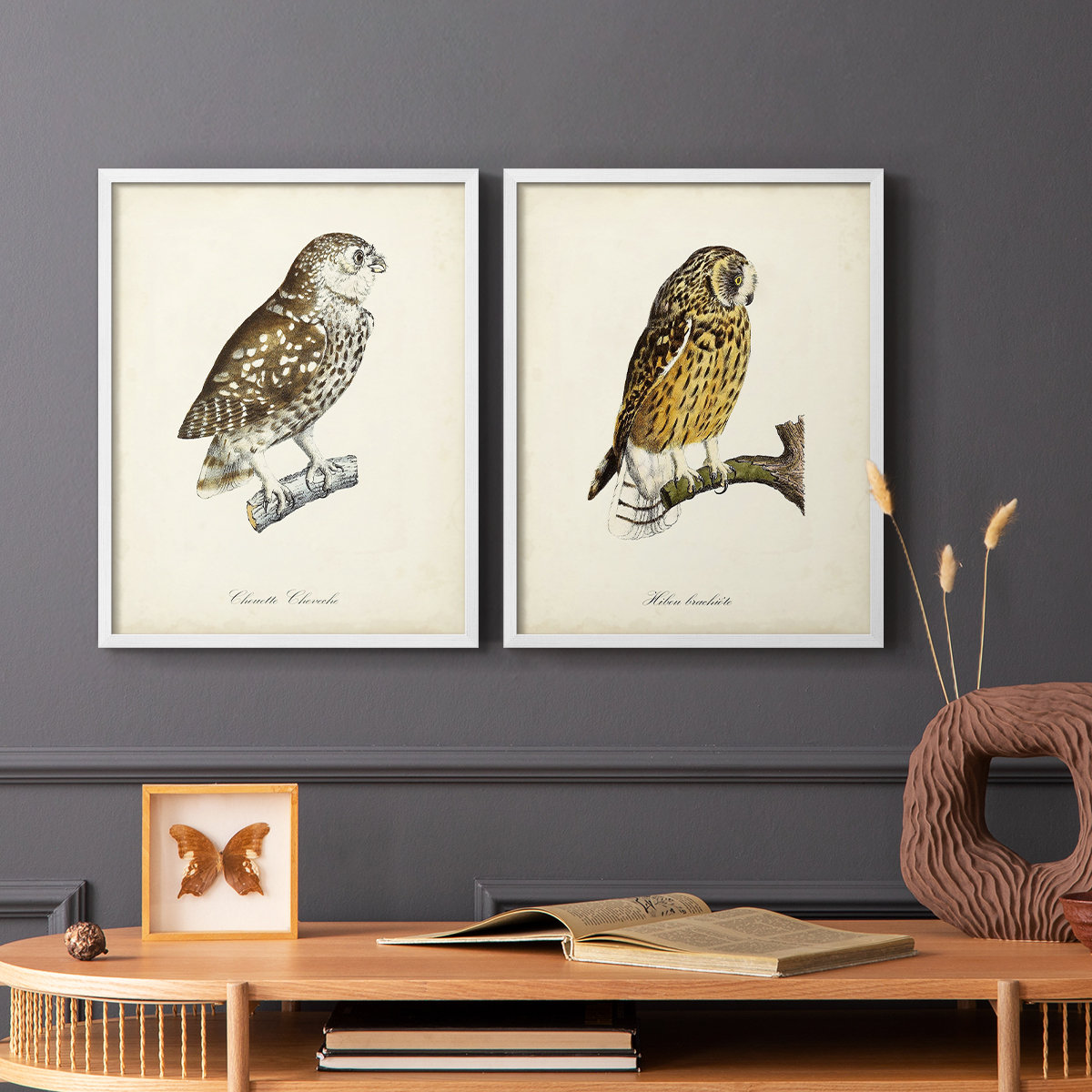 Wrought Studio™ French Owls I-Premium Framed Print -Ready to Hang - No ...