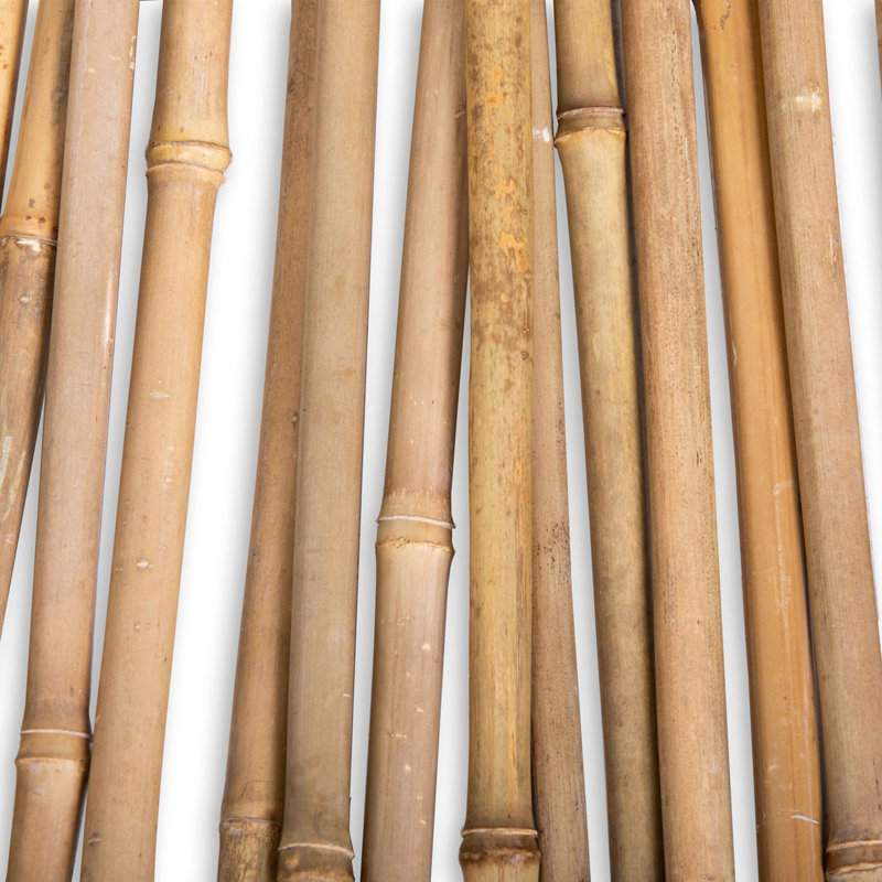 Backyard X-Scapes Natural Bamboo Stakes Plant Support Trellis Garden ...
