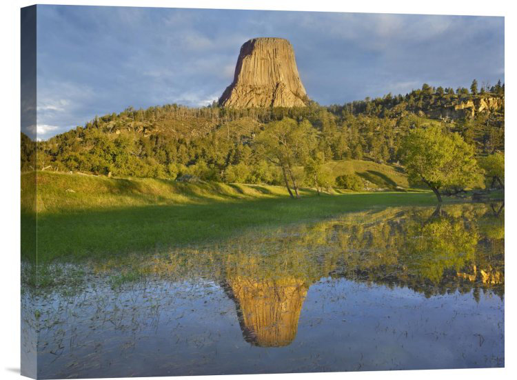 East Urban Home 'Devil'S Tower National Monument Showing Famous Basalt ...