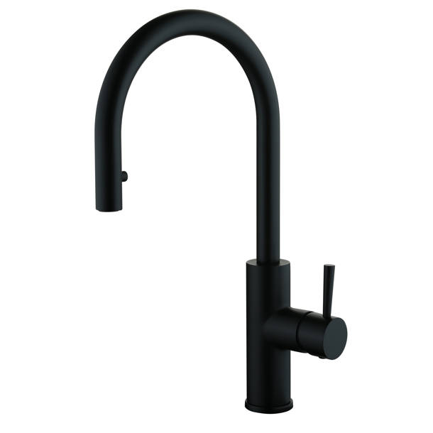 CMI Casmir Kitchen Faucet & Reviews | Wayfair