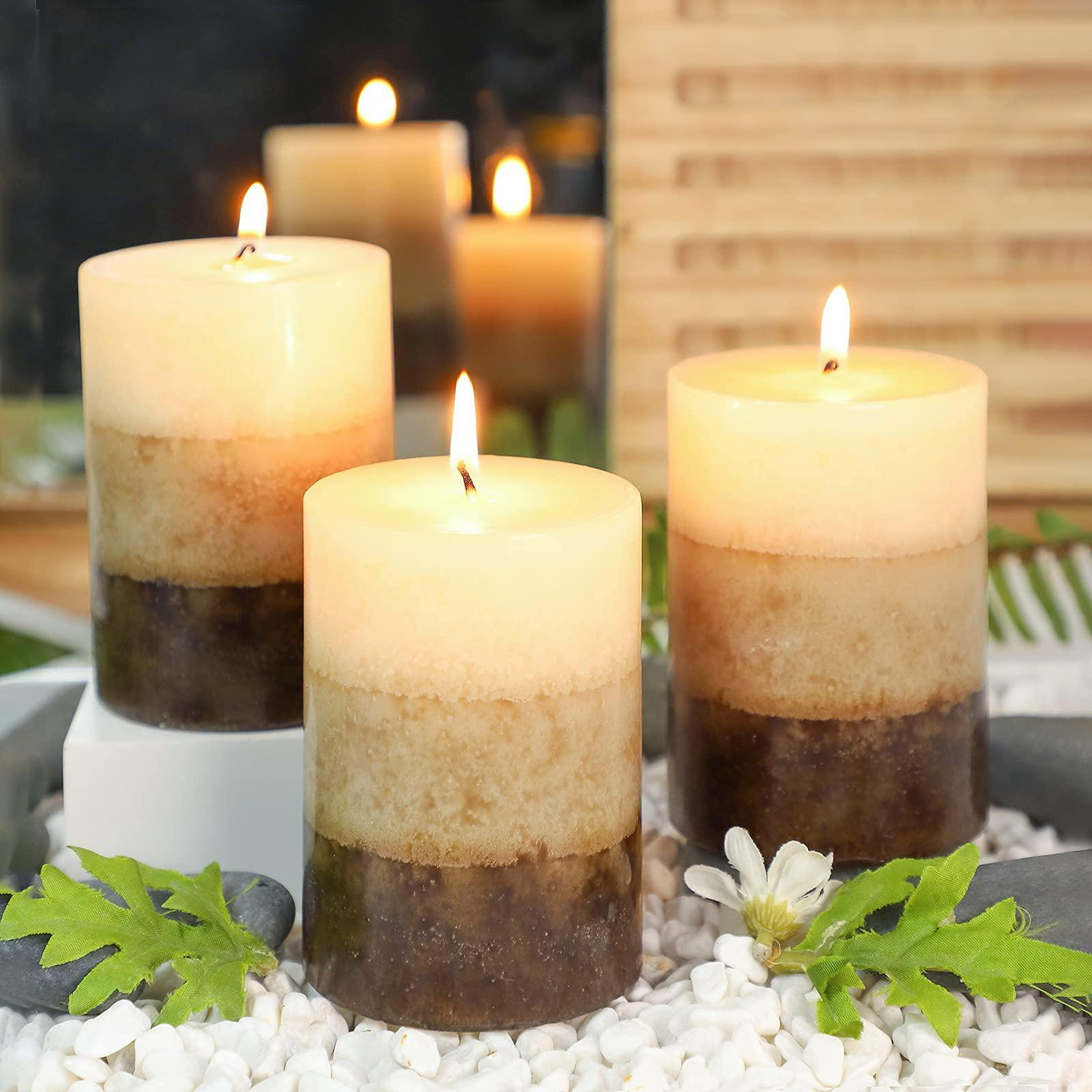 The Holiday Aisle® Pillar Candles Vanilla Cupcake Scented Immeiscent ...