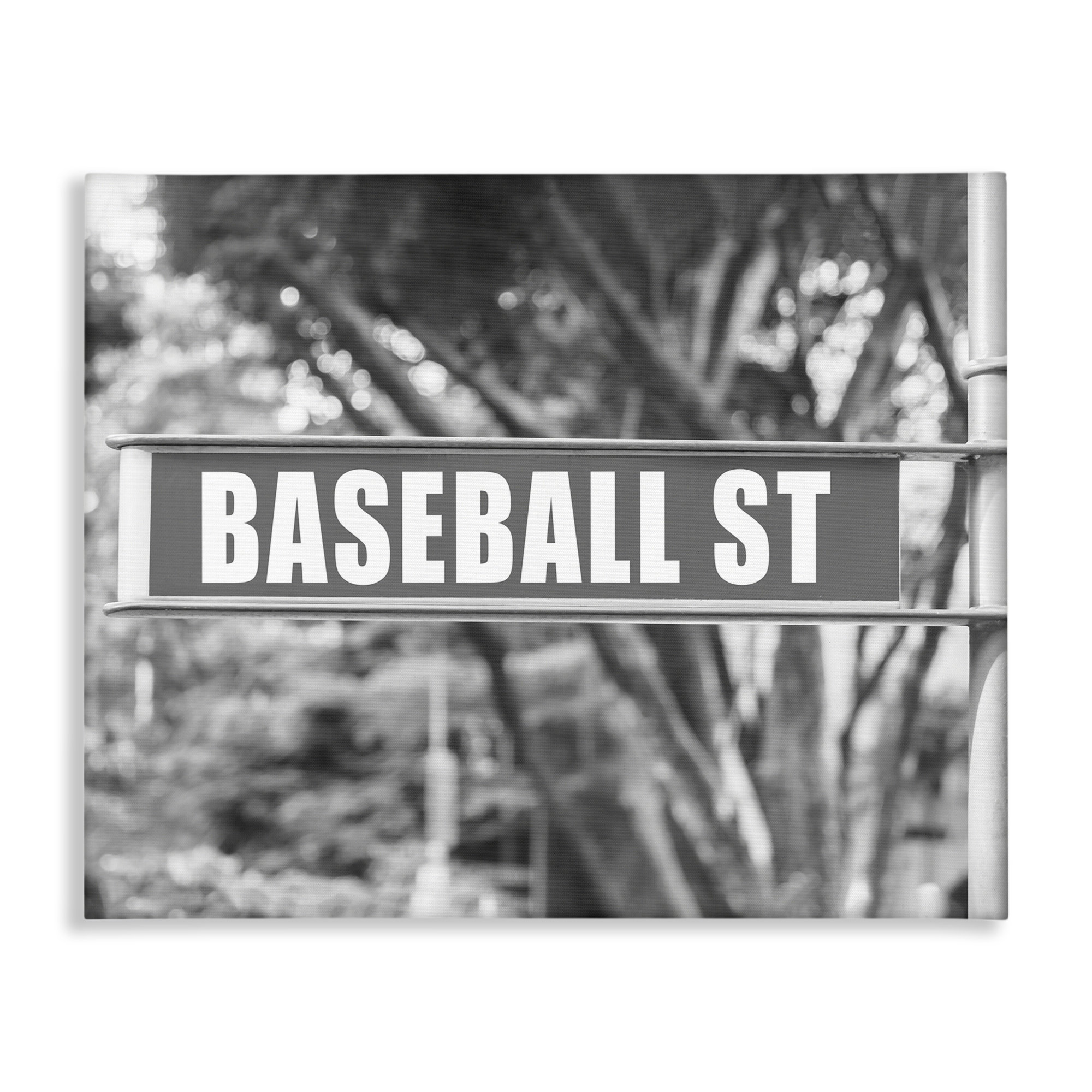 Latitude Run® Baseball Street Sign Canvas Wall Art by Daphne Polselli ...