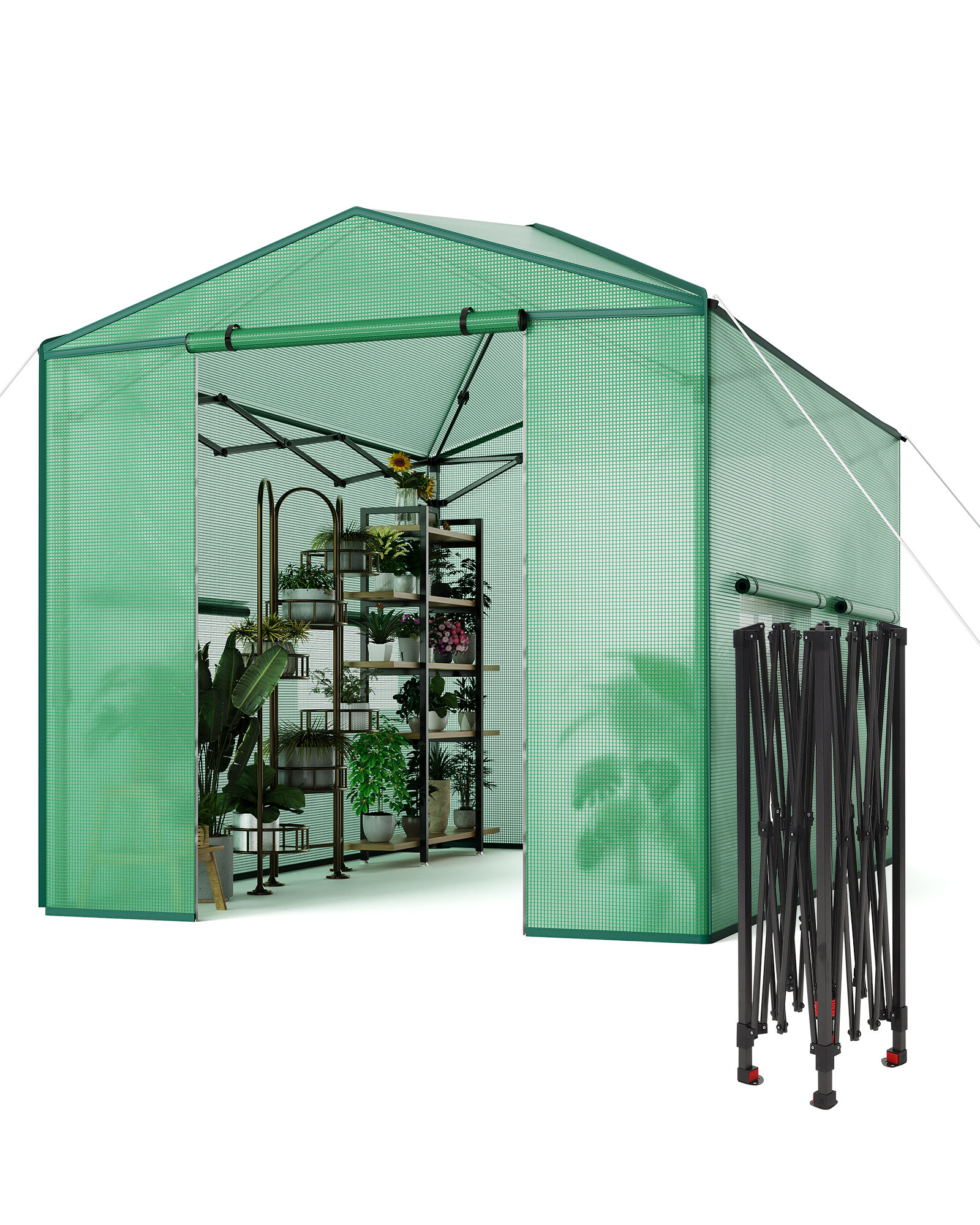 LumiParty 6 x 8 Ft/ 8 x 12 ft Portable Walk In Greenhouse，Plant ...