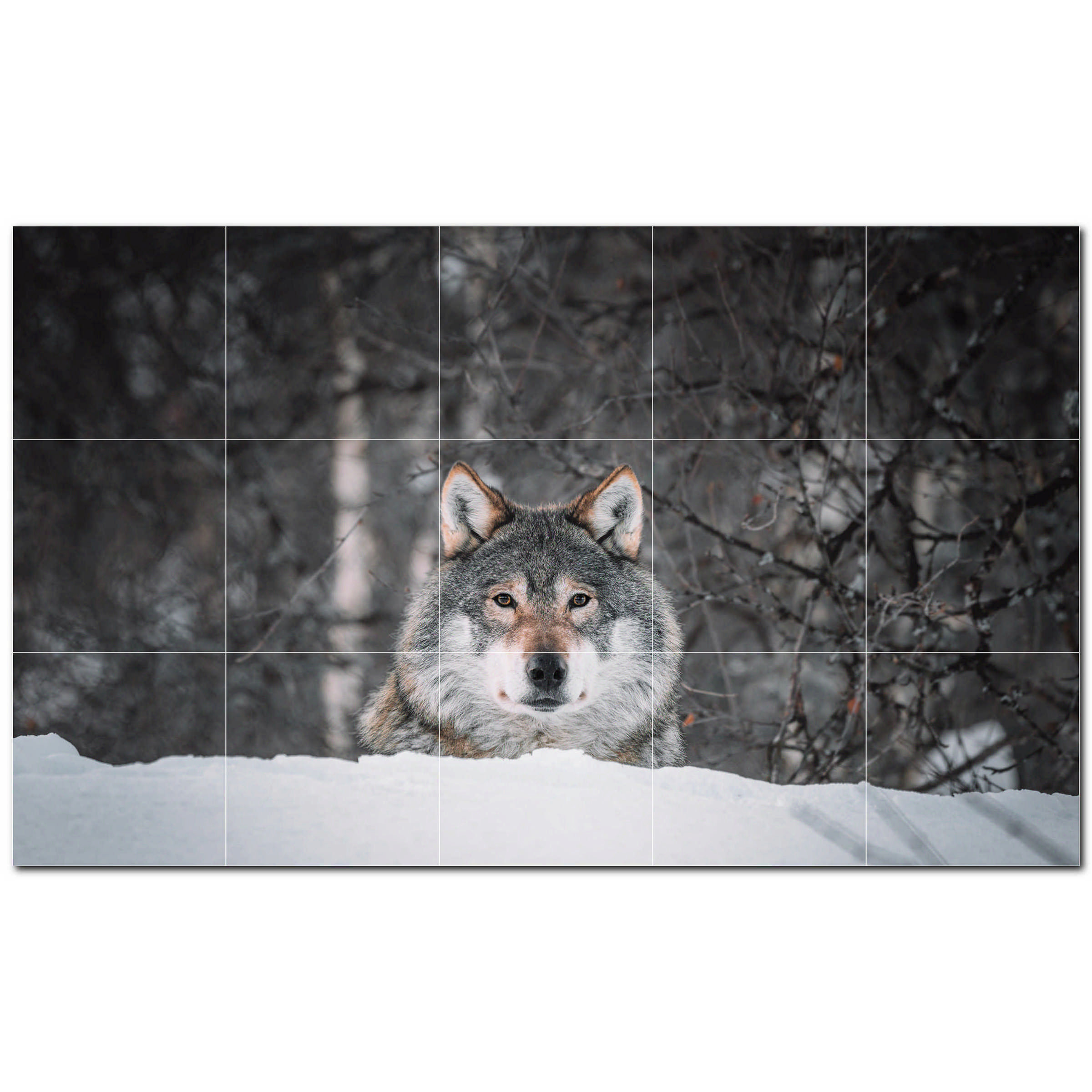 Picture-Tiles.com 60" x 36" Ceramic Wolf Photo Decorative Mural Tile ...