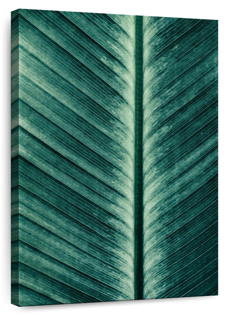 Lark Manor™ Harnek Palm Leaf Turning White | Wayfair