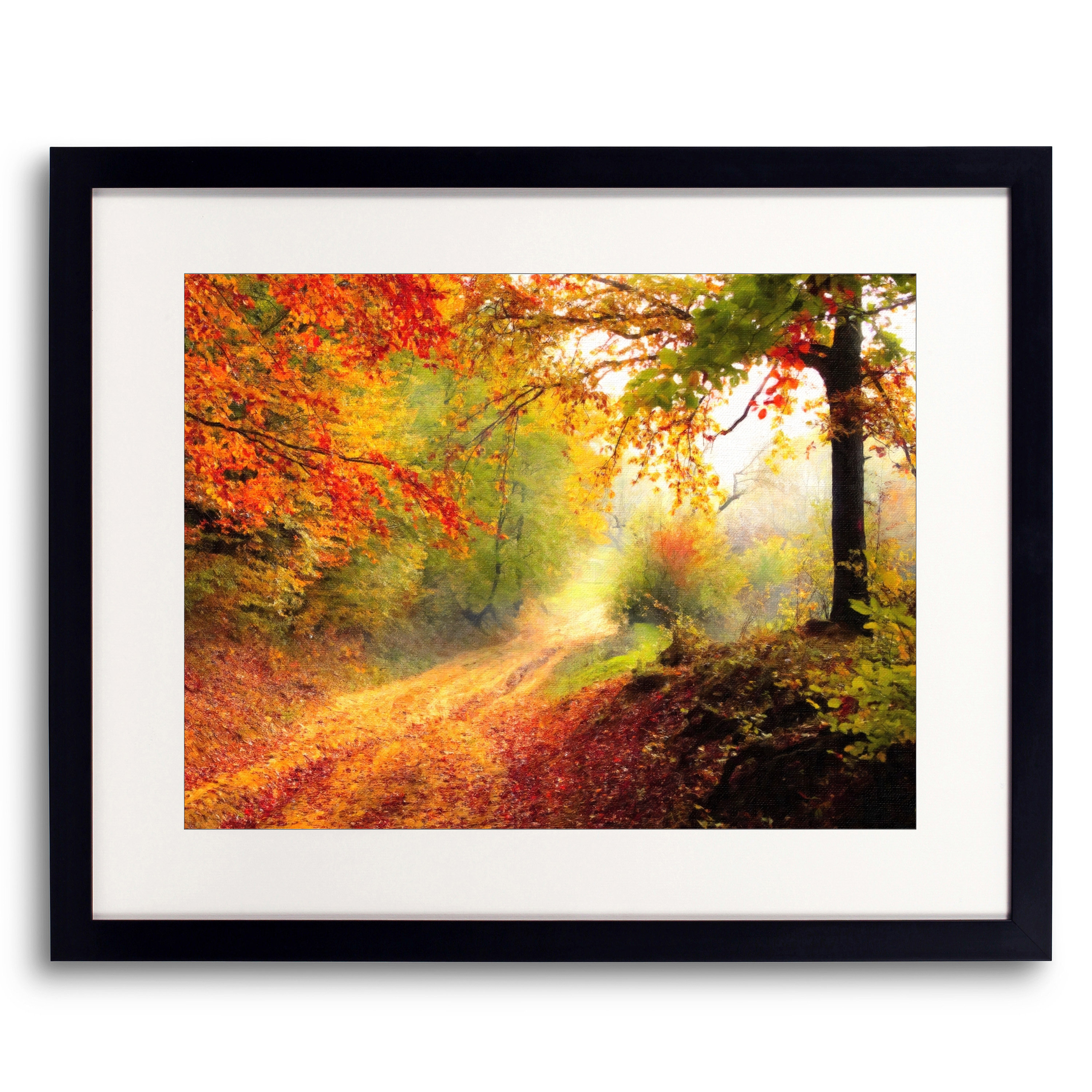 Made & Curated Autumn Forest Edge II by Denise Dundon - Picture Frame Photograph | Wayfair