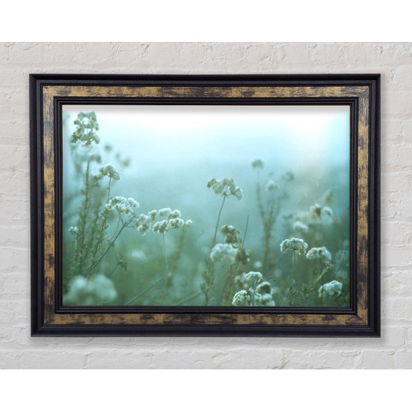 Bright Star Fragile Beauty - Single Picture Frame Art Prints | Wayfair ...